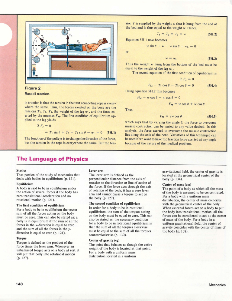 Statics, Equilibrium, and Torque in Physics