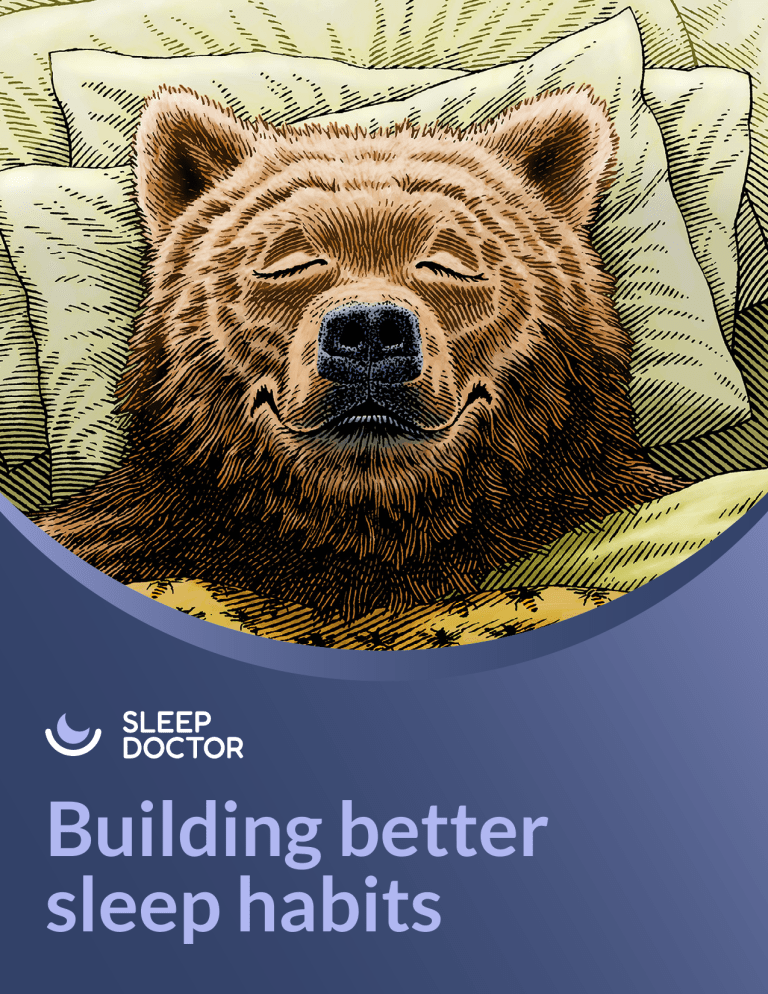 Sleep Guide: Improve Habits & Understand Your Chronotype