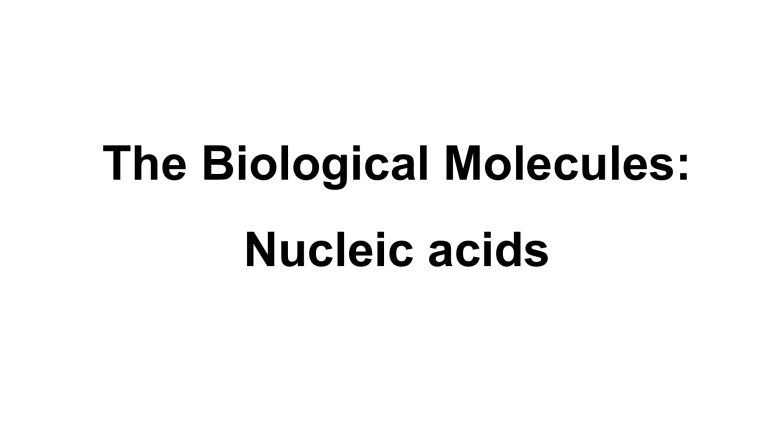Nucleic Acids: DNA & RNA Structure and Function