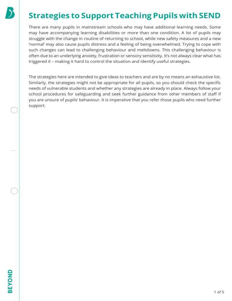 SEND Teaching Strategies: A Teacher's Guide