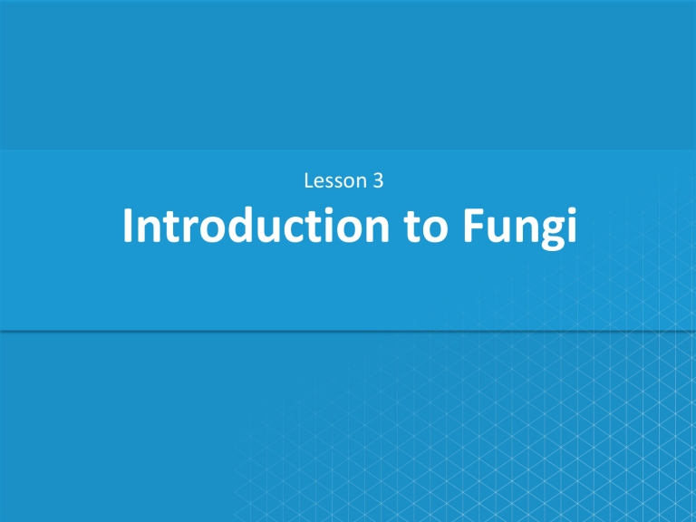 Introduction to Fungi: Characteristics, Nutrition, Reproduction