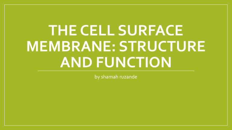 Cell Membrane Structure & Function: Fluid Mosaic Model