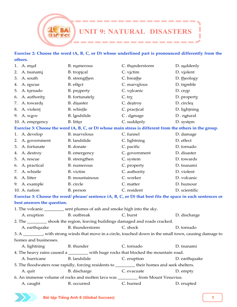 Natural Disasters Worksheet: Vocabulary & Grammar