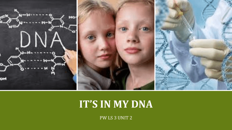 Pathways LS 3 Unit 2 Vocabulary List