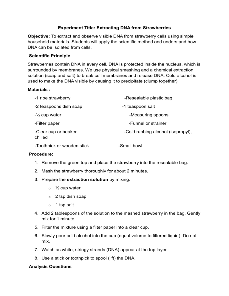 Strawberry DNA Extraction Experiment