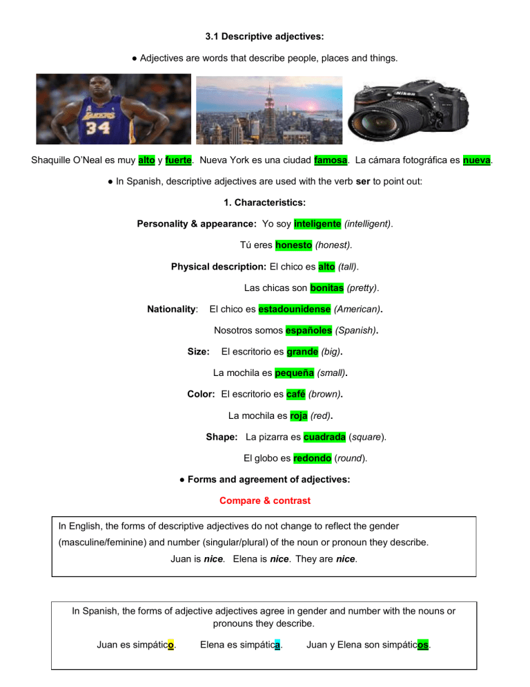 Adjetivos Descriptivos en Español: Formas y Concordancia