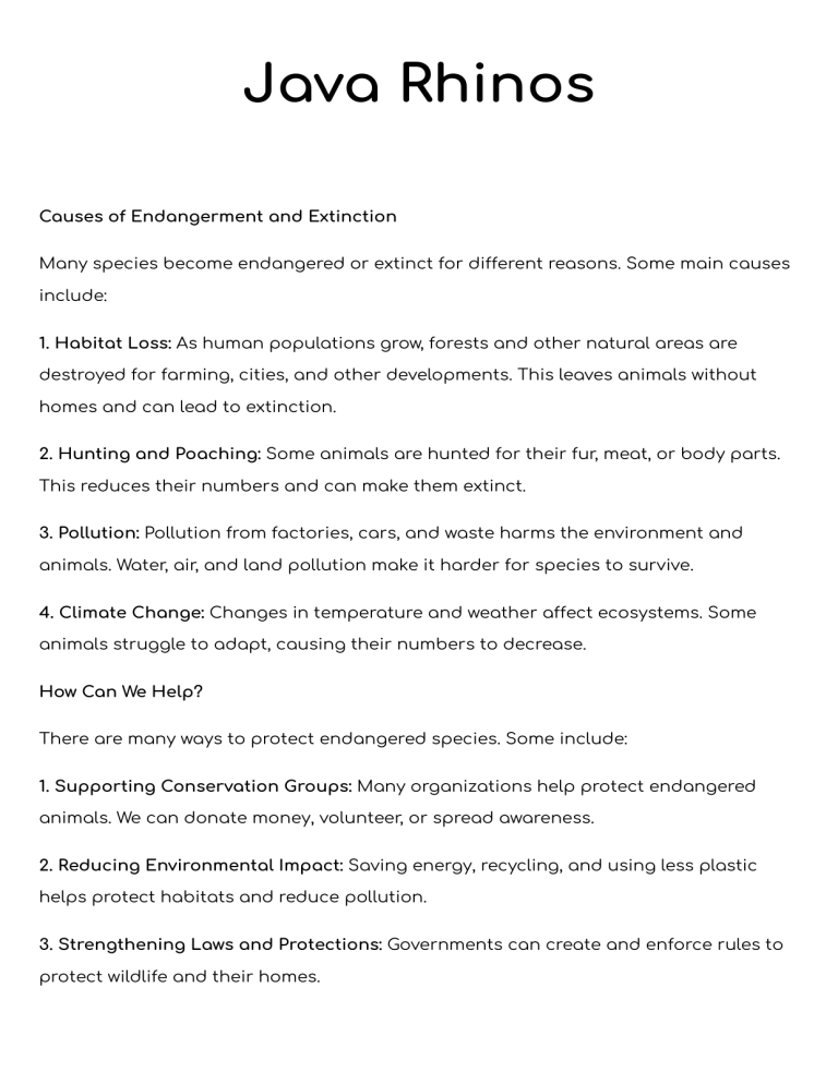 Java Rhino Conservation: Causes of Endangerment & How to Help