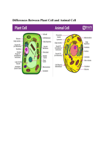 Cell Biology Worksheet: Animal vs. Plant Cells