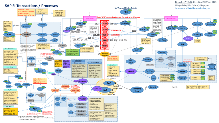 SAP FI/CO Processes: Transactions & Configuration