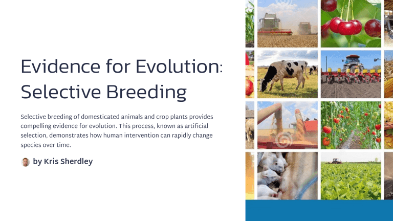Selective Breeding: Evidence for Evolution
