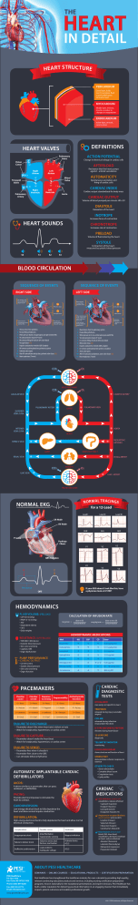 Cardiology Cheat Sheet: Heart Structure, EKG, Meds