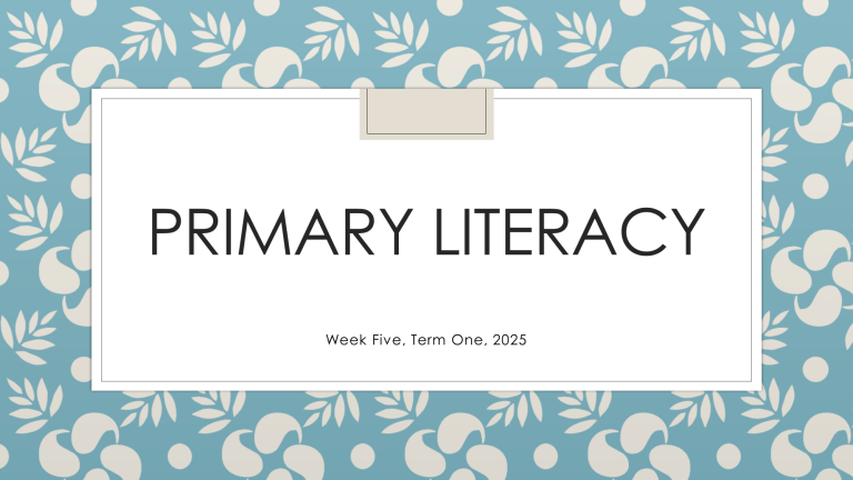 Primary Literacy Lesson Plan: Week 5, Term 1