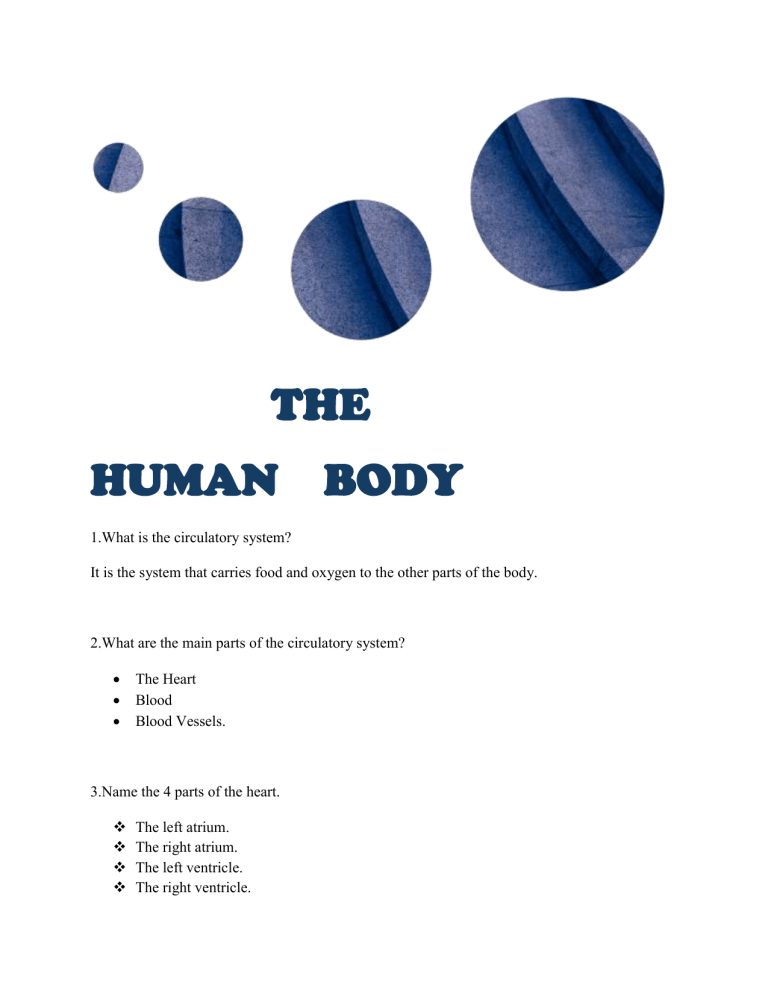 Human Body Systems: Study Guide for Kids