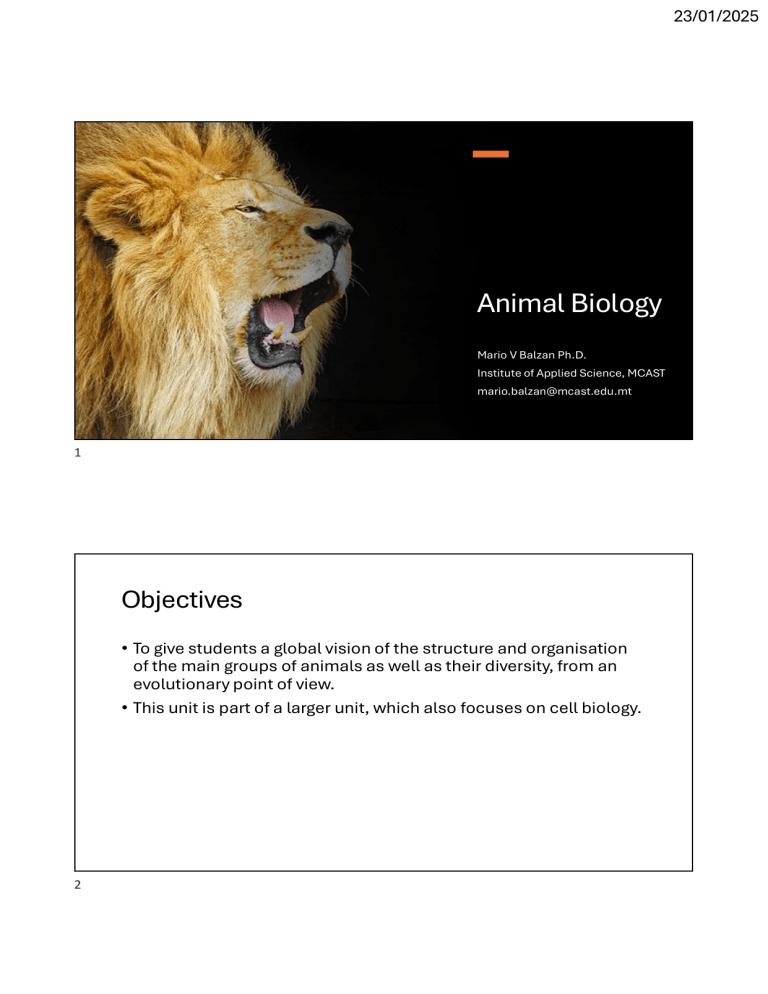 Animal Biology: Structure, Diversity, and Evolution