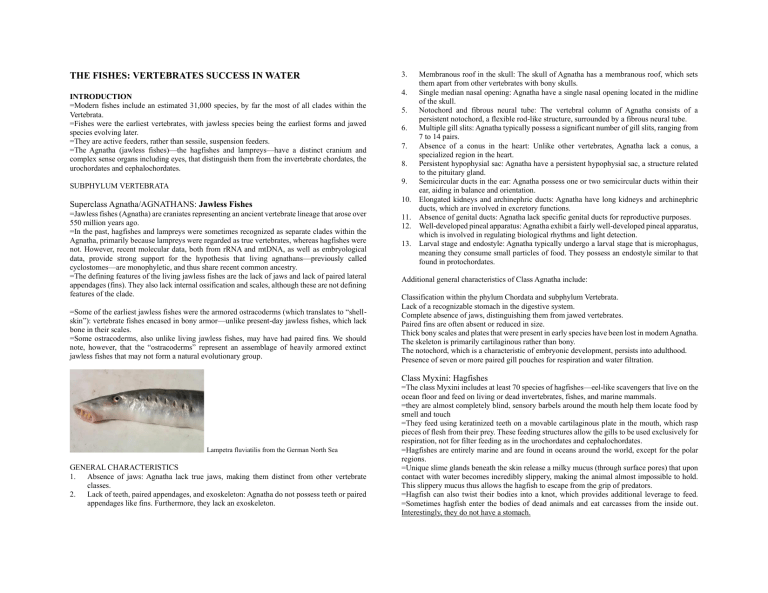 Agnatha: Jawless Fish Vertebrate Success in Water