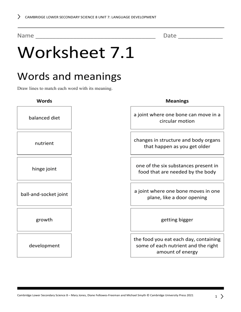 Science Worksheet: Nutrition, Growth, and Muscles