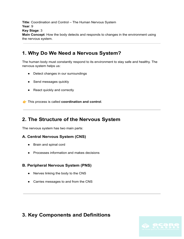Human Nervous System Coordination And Control Year 9