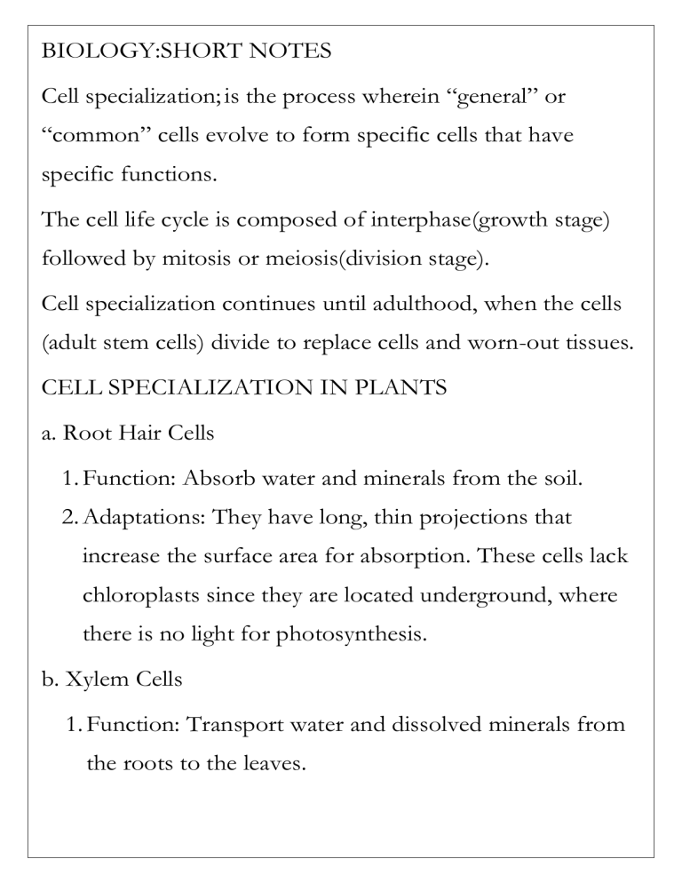 Cell Specialization: Plant & Animal Cells - Biology Notes