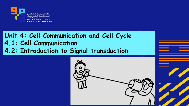 Cell Communication & Cell Cycle Presentation