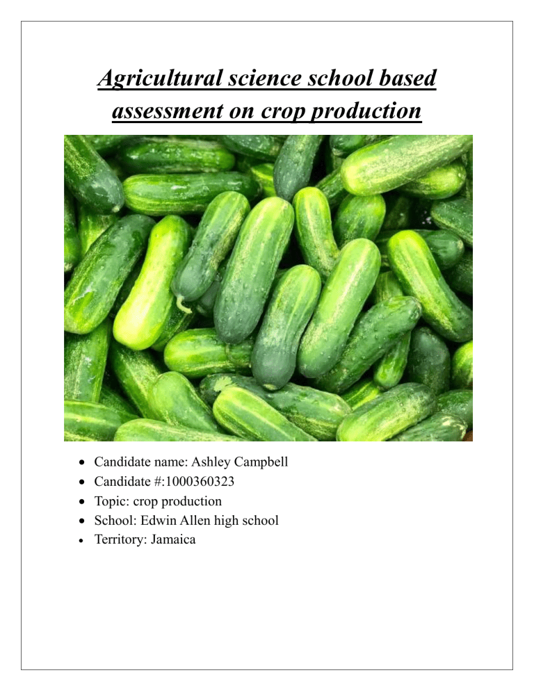 Cucumber Crop Production: NPK vs. Chicken Manure Assessment