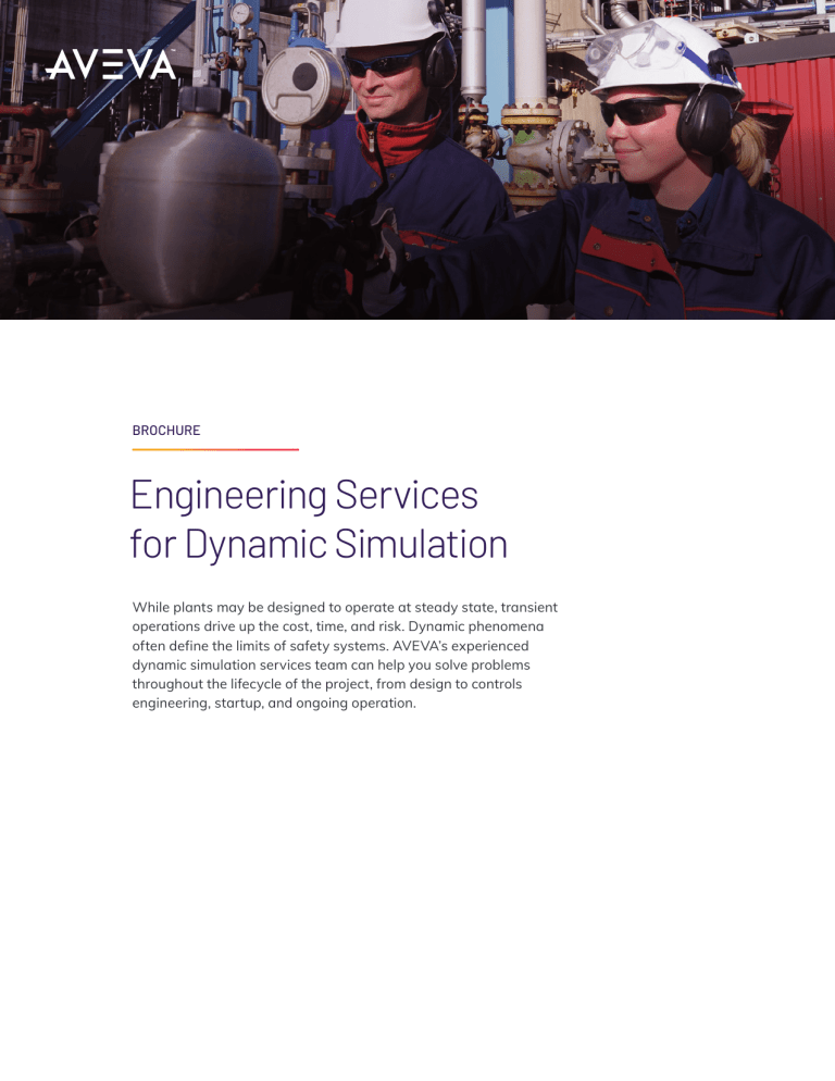 AVEVA Engineering Services: Dynamic Simulation Brochure