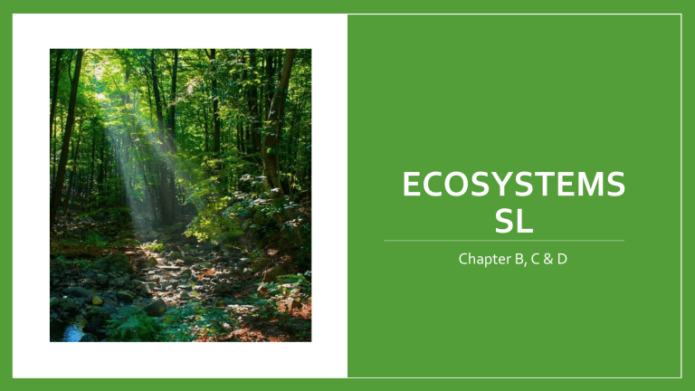Ecosystems & Climate Change: Presentation