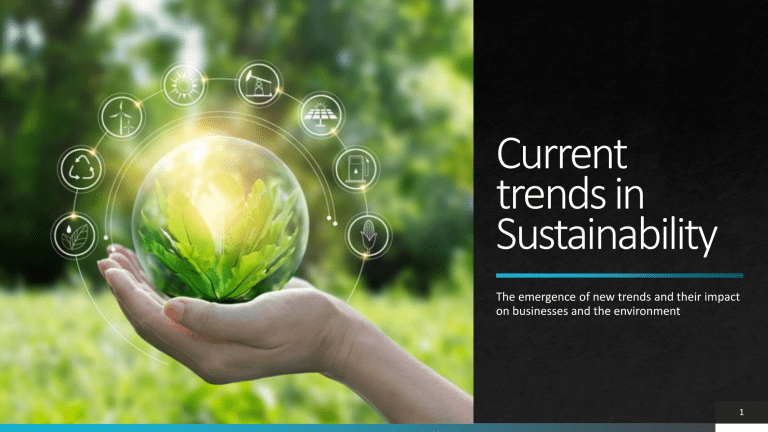 Sustainability Trends: Circular Economy, Renewable Energy & More