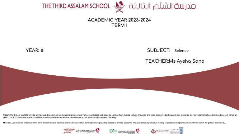 Year 8 Science: Exothermic Reactions Lesson Plan