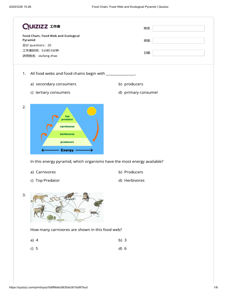 Food Chain, Food Web & Ecological Pyramid Worksheet