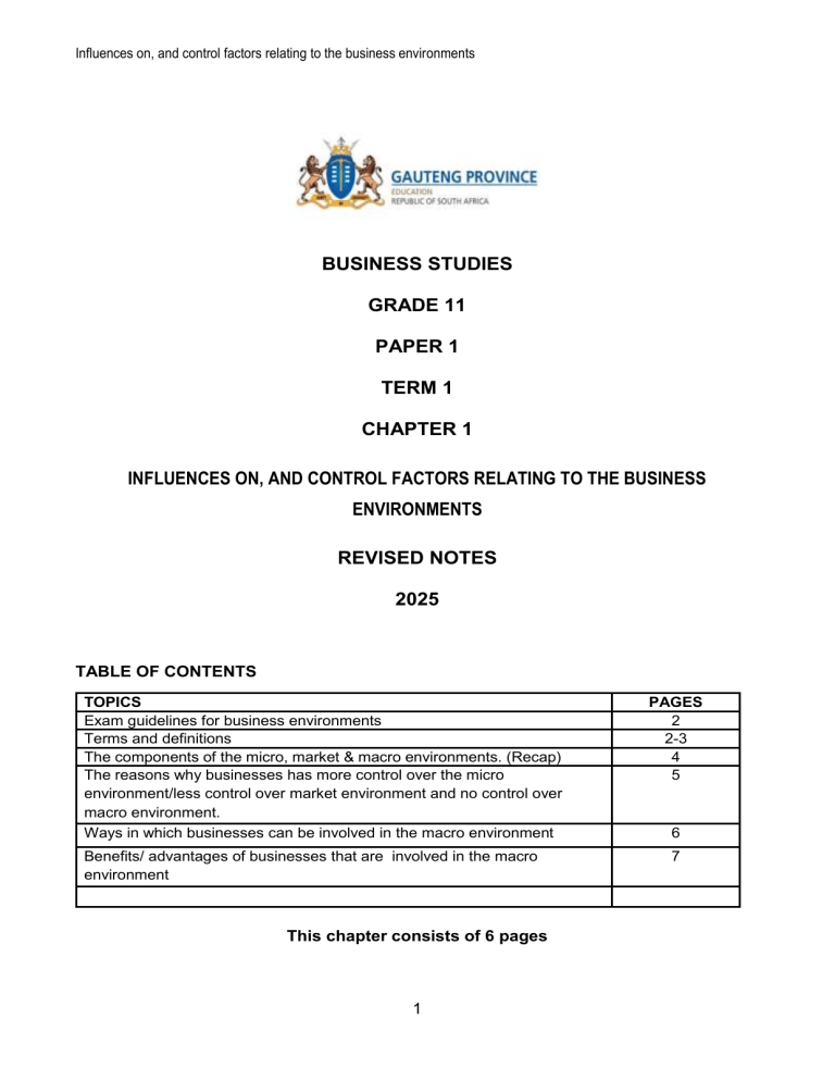 Business Environments: Grade 11 Revised Notes