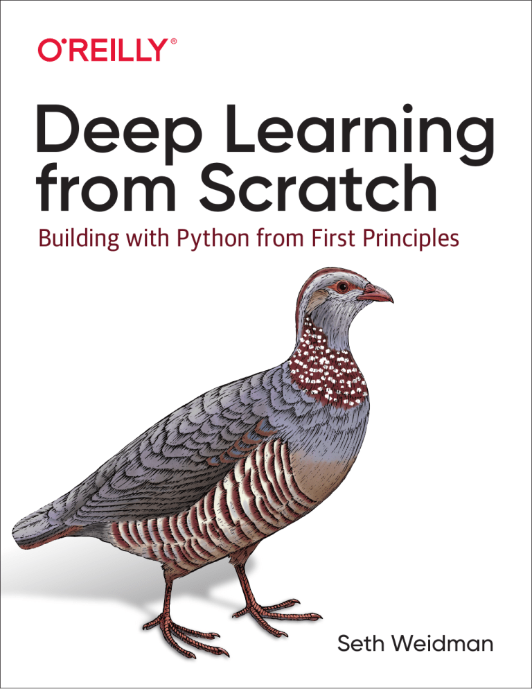 Deep Learning from Scratch: Python Neural Networks