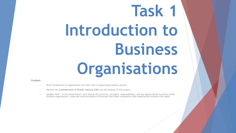 Business Organizations: Structure, Purpose & Responsibilities