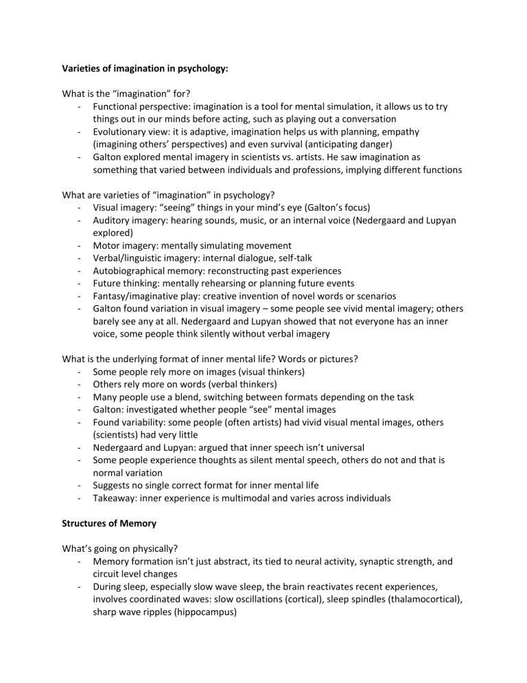 Imagination, Memory & Decision-Making: Psychology Lecture Notes