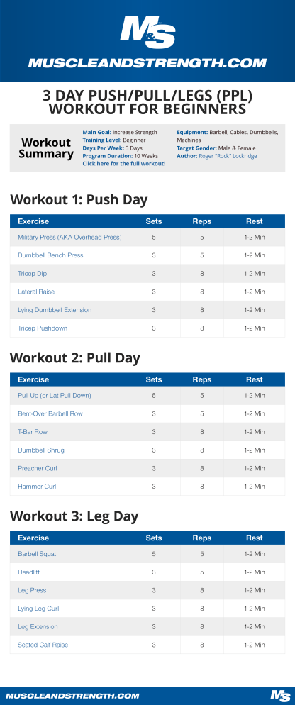 3-Day PPL Workout Plan for Beginners | Muscle & Strength