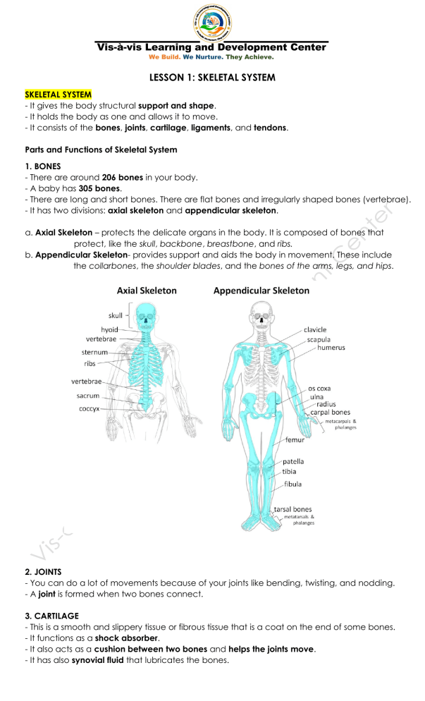 Skeletal, Muscular & Other Body Systems Lesson