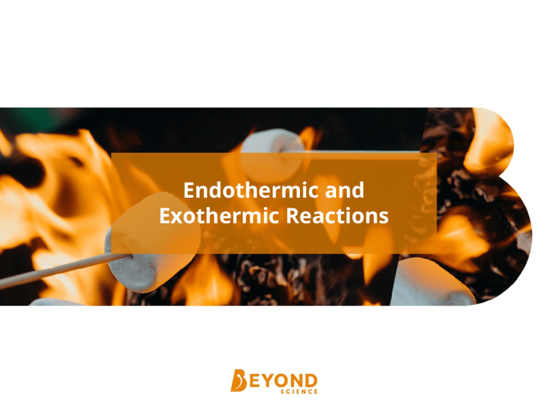 Exothermic & Endothermic Reactions: Chemistry Presentation
