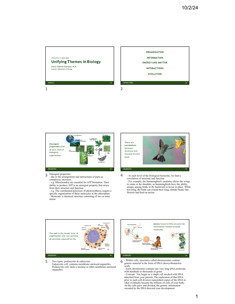 Unifying Themes in Biology Presentation