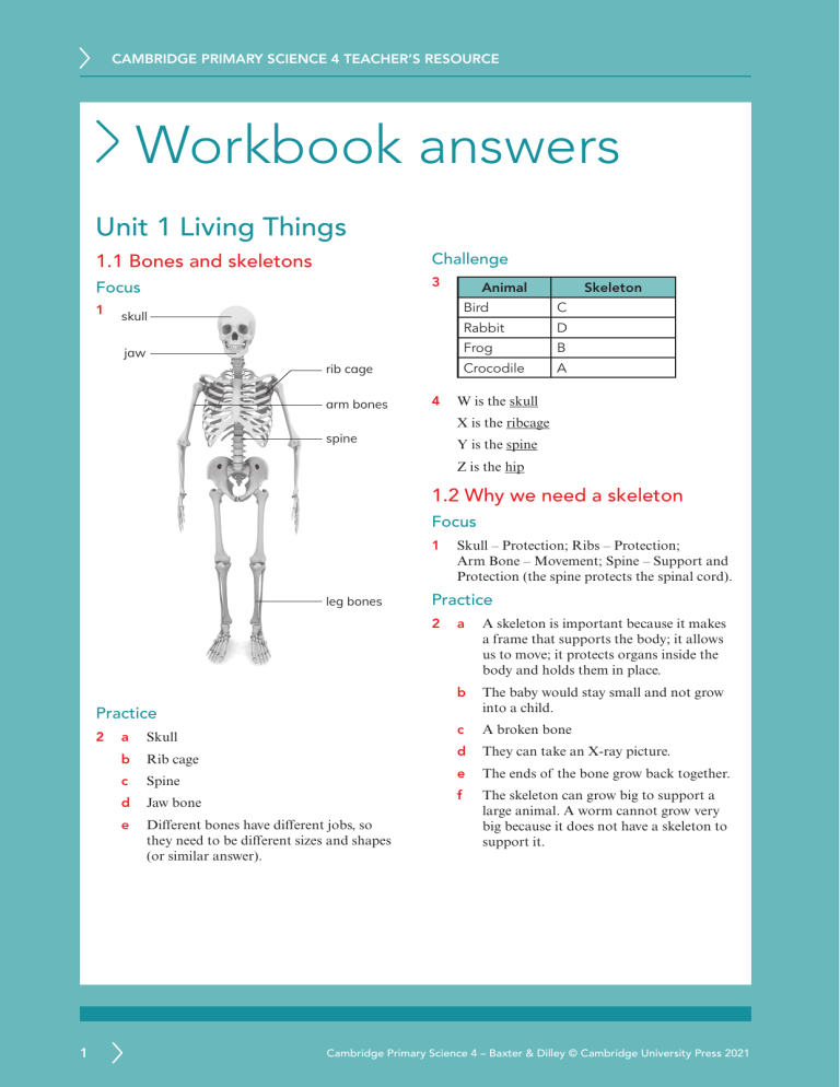 P Science 4 workbook answers