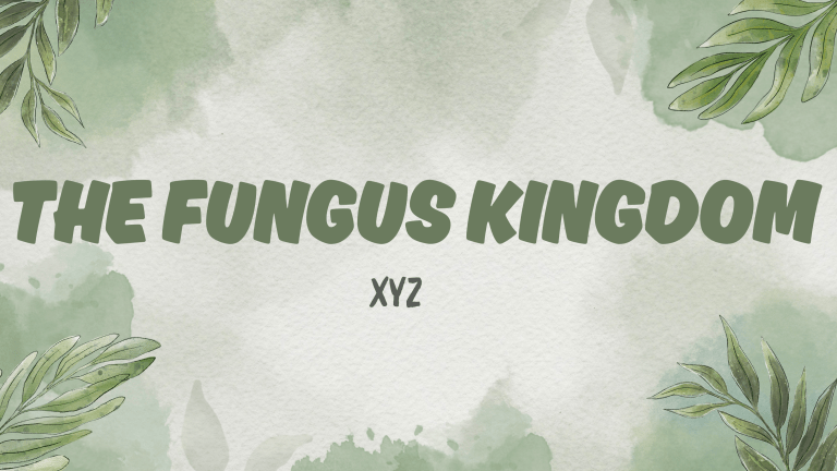 Fungus Kingdom: Features, Functions & Examples