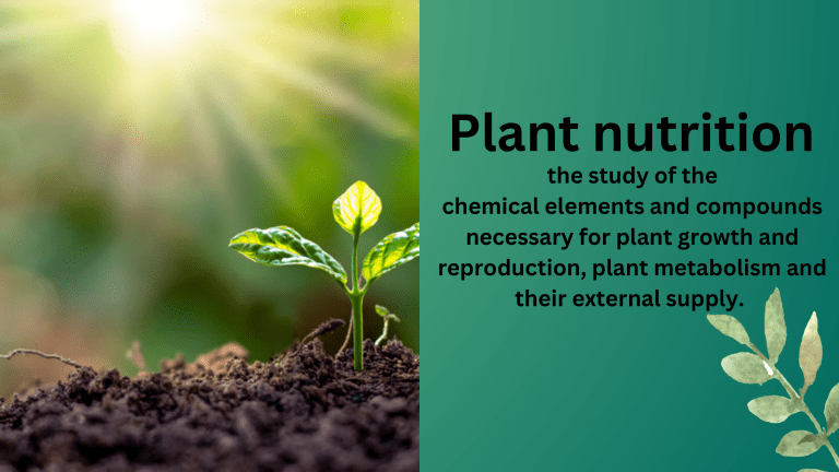 Plant Nutrition & Photosynthesis: Leaf Structure & Function