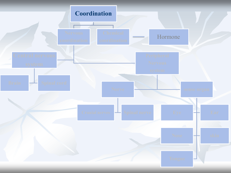 Coordination: Nervous & Chemical Systems