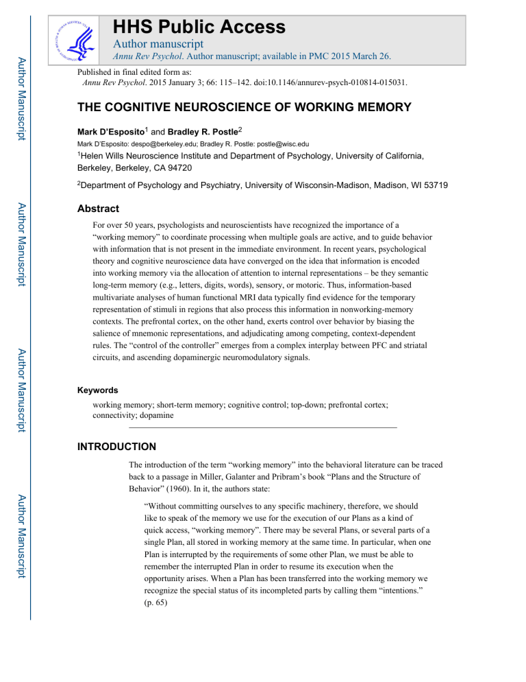Working Memory: Cognitive Neuroscience Review