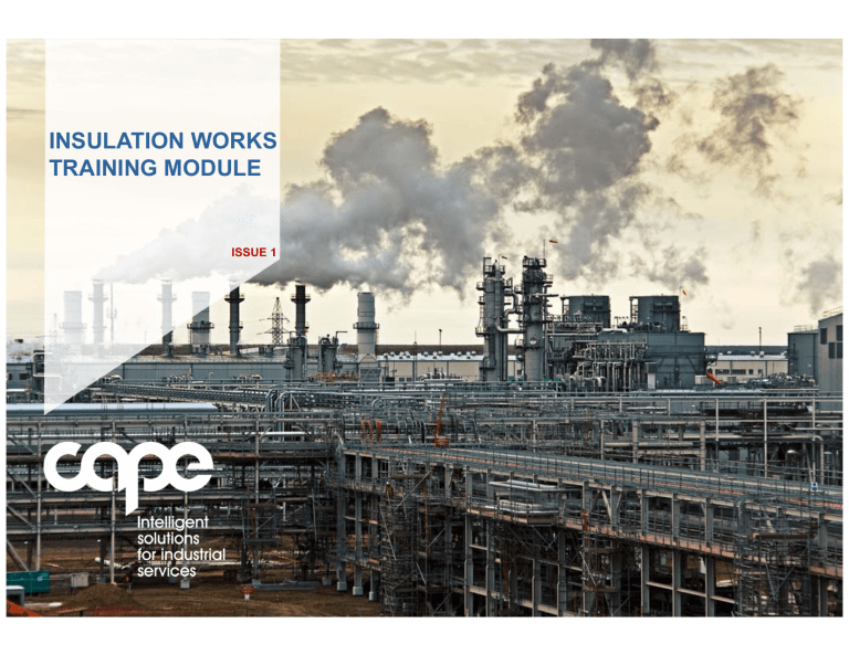 Insulation Works Training Module - Cape plc