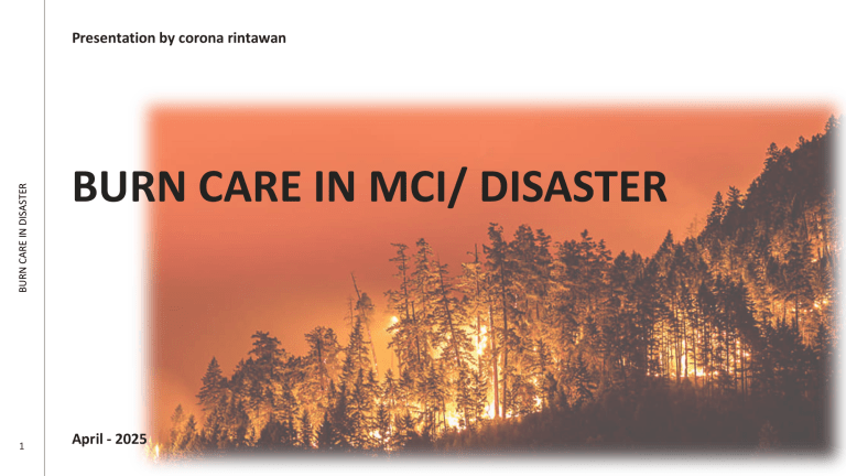 Burn Care in Disaster: MCI Management Presentation