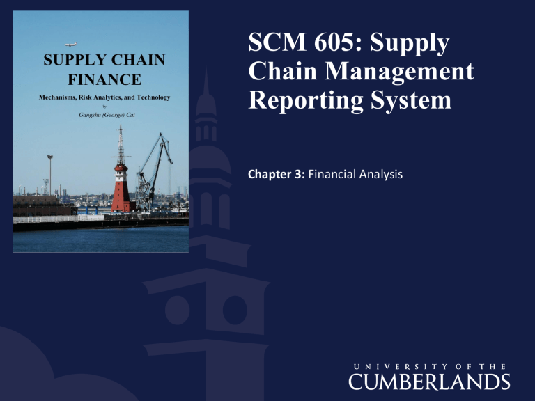 Supply Chain Financial Analysis: Statements & Ratios