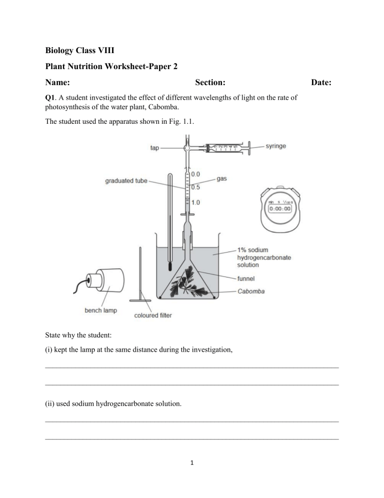 Plant Nutrition Worksheet - Biology Class VIII