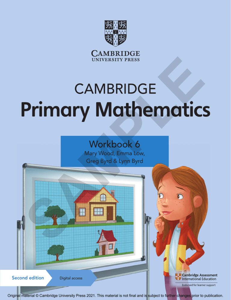 Primary Mathematics Workbook 6 - Practice & Challenge