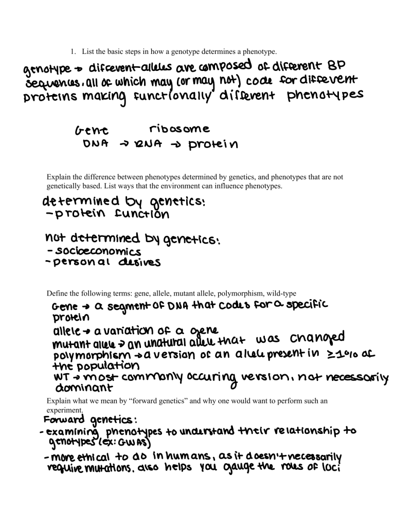 Genetics Study Guide: Key Concepts & Definitions