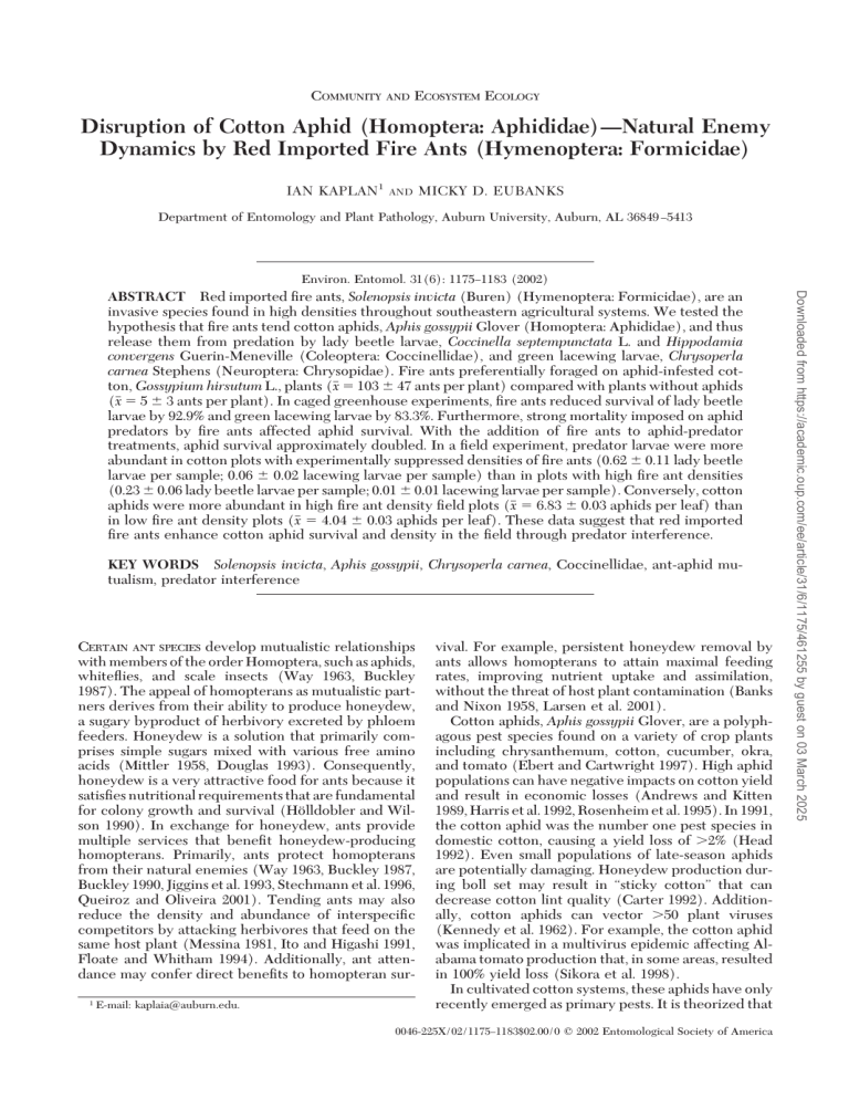 Fire Ants Disrupting Aphid-Enemy Dynamics in Cotton Ecosystems