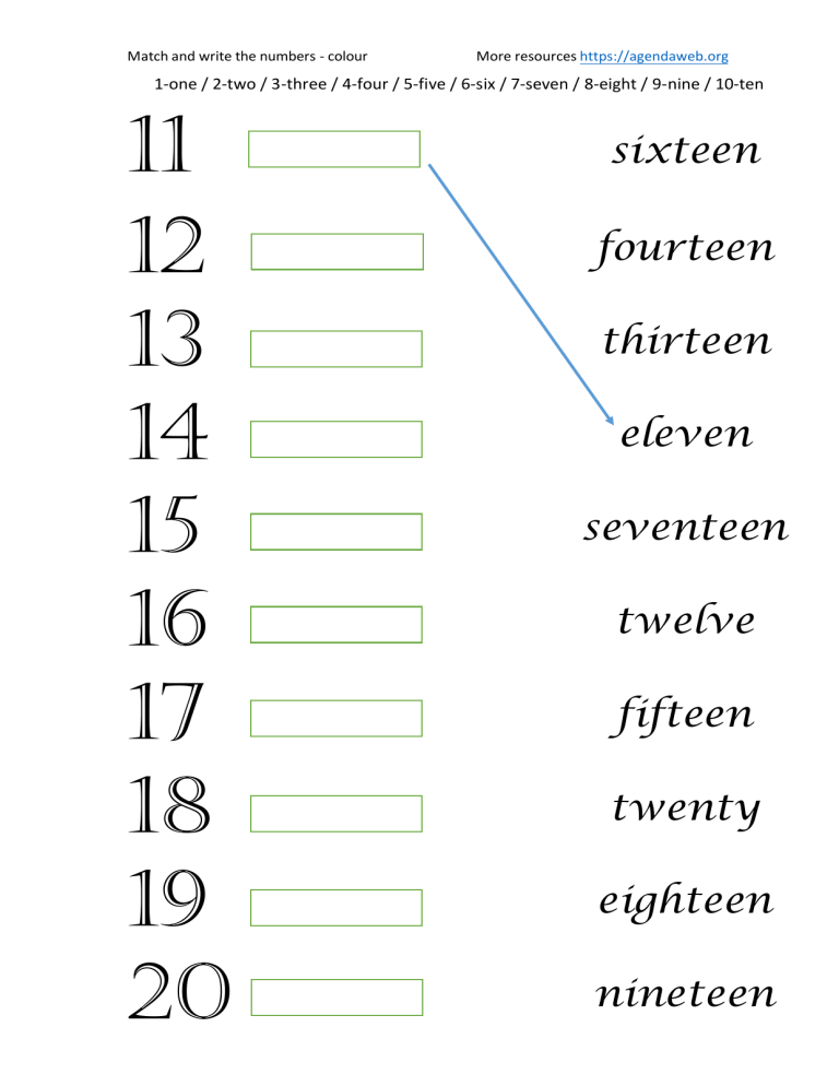 Match Numbers 11-20 Worksheet